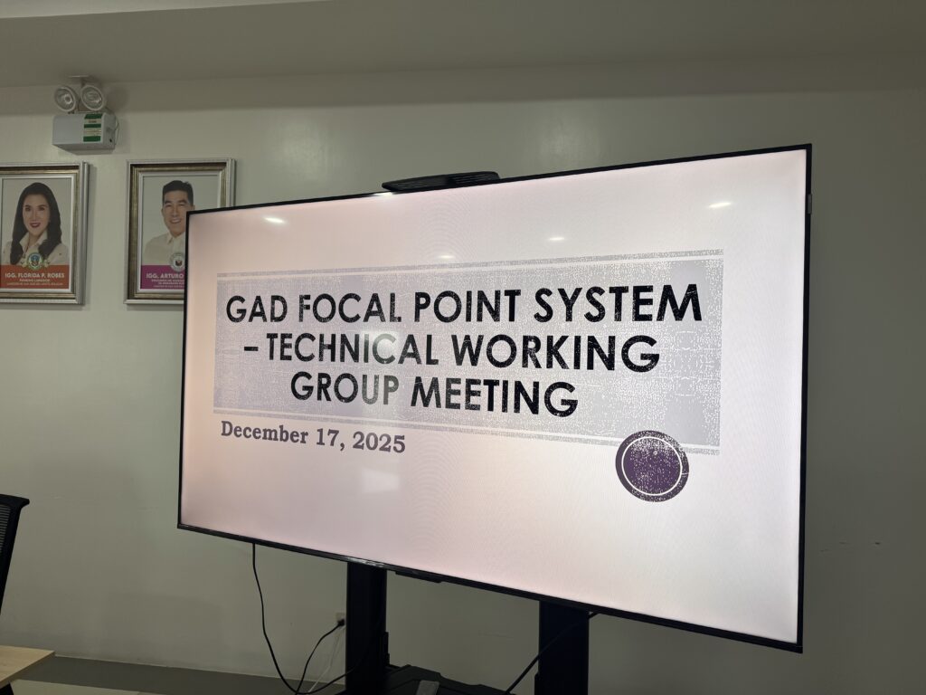 GAD FOCAL POINT SYSTEM – TECHNICAL WORKING GROUP MEETING | City of San ...